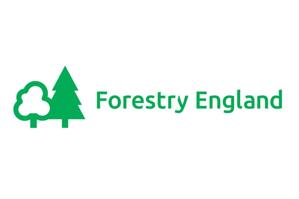 Leigh Woods - Avon Gorge & Downs Wildlife Project